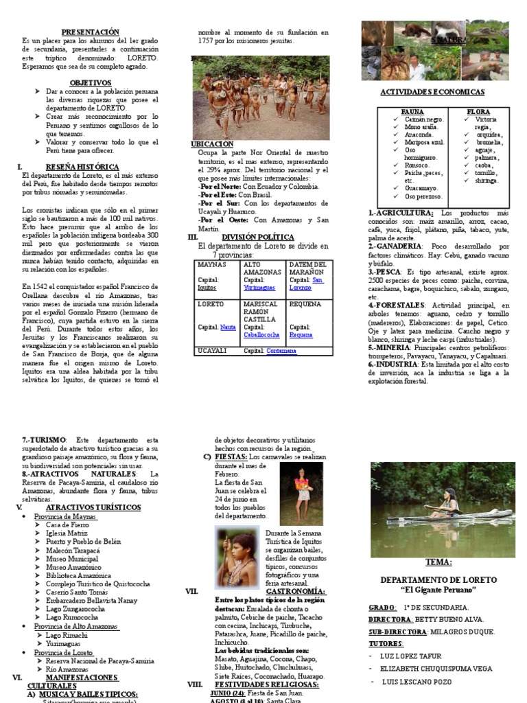 Triptico Loreto - Peru2010 | PDF | Naturaleza