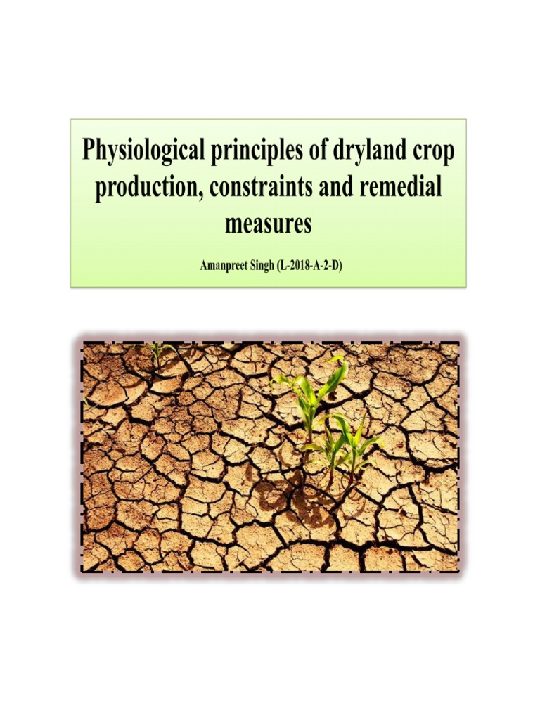 Physiological Principles of Dryland Crop Production | PDF | Stoma ...