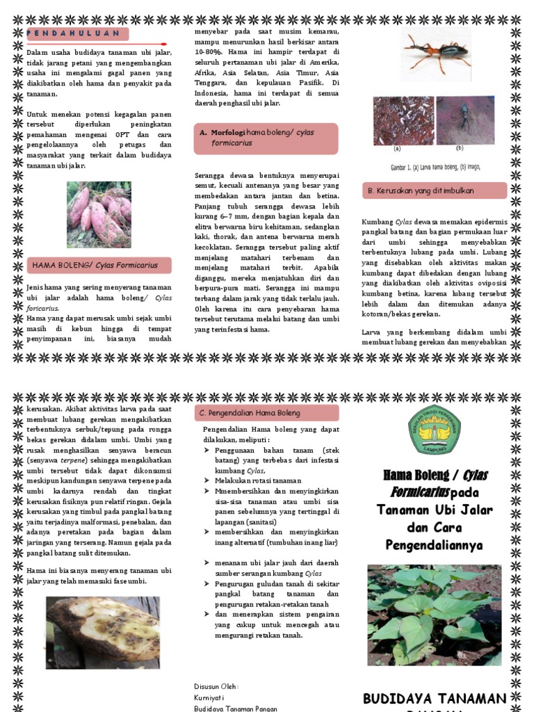 Hama Ubi Jalar | PDF