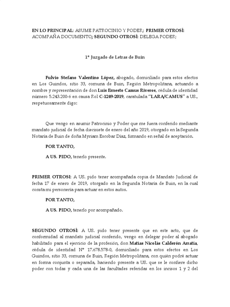 En Lo Principal_ Asume Patrocinio y Poder; Primer Otrosí_ Acompaña ...