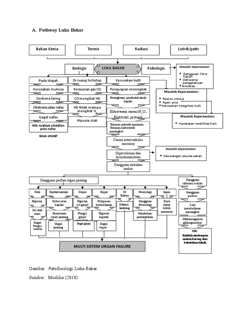 Pathway Luka Bakar | PDF