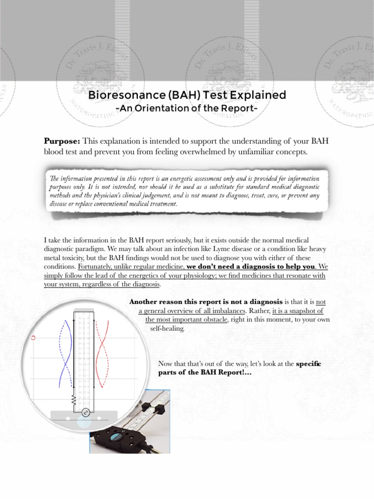 BAH Test Report Orientation V.2.pages | PDF | Allergy | Food Allergy