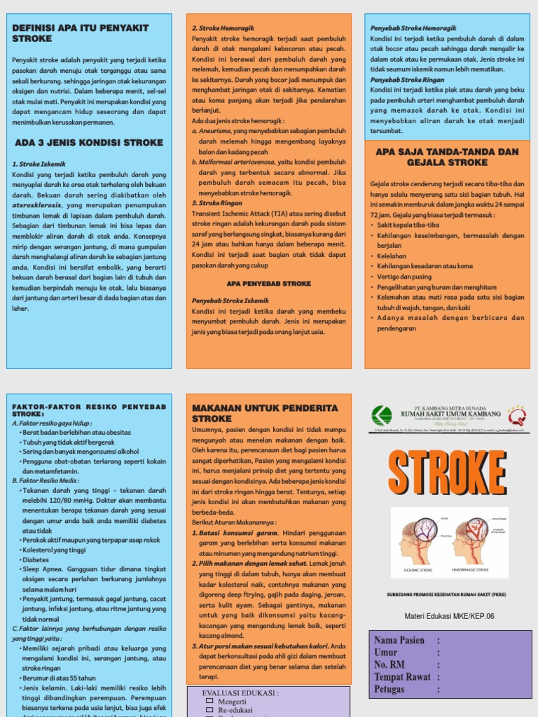 Jenis dan Penyebab Stroke Hemoragik | PDF | Sains & Matematika | Gaya Hidup