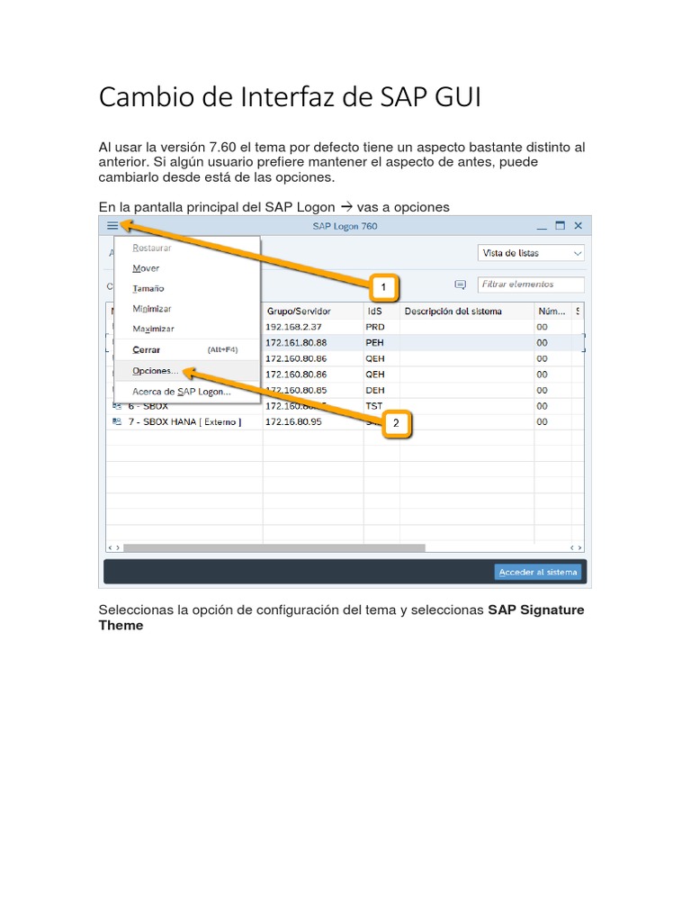 Cambio de Interfaz de SAP GUI | PDF