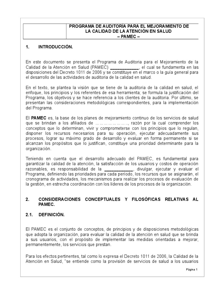 Pautas Elaboracion Pamec | PDF | Auditoría | Calidad (comercial)