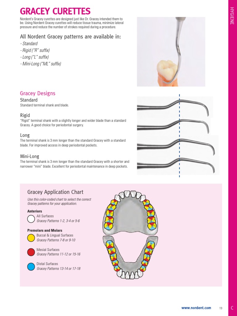 Gracey PDF | PDF | Dental Anatomy | Dentistry