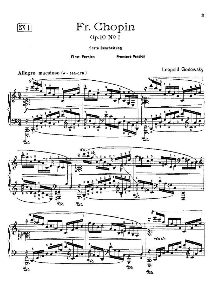 Godowsky - Transcriptions On Chopin's Etudes | PDF