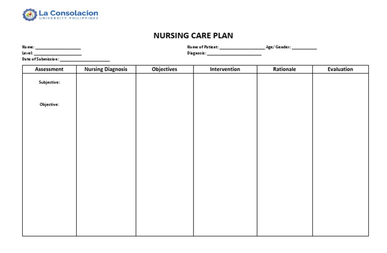 NCP Format | PDF
