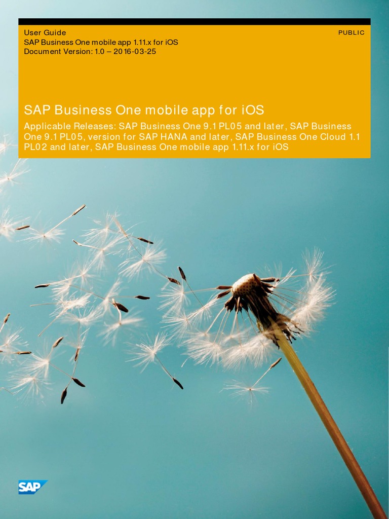 SAP B1 MobileApp Guide IOS | PDF | Ios | Sap Se
