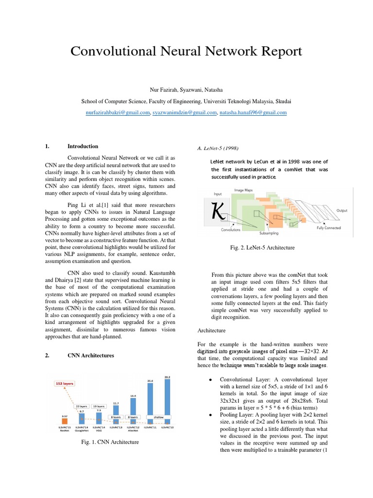 Convolutional Neural Network Report | PDF | Computational Neuroscience | Systems Thinking