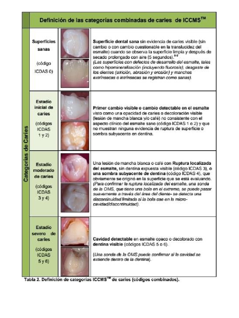 Icdas Iccms | PDF