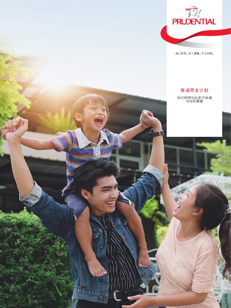 Prushield Ebrochure Chinese | PDF