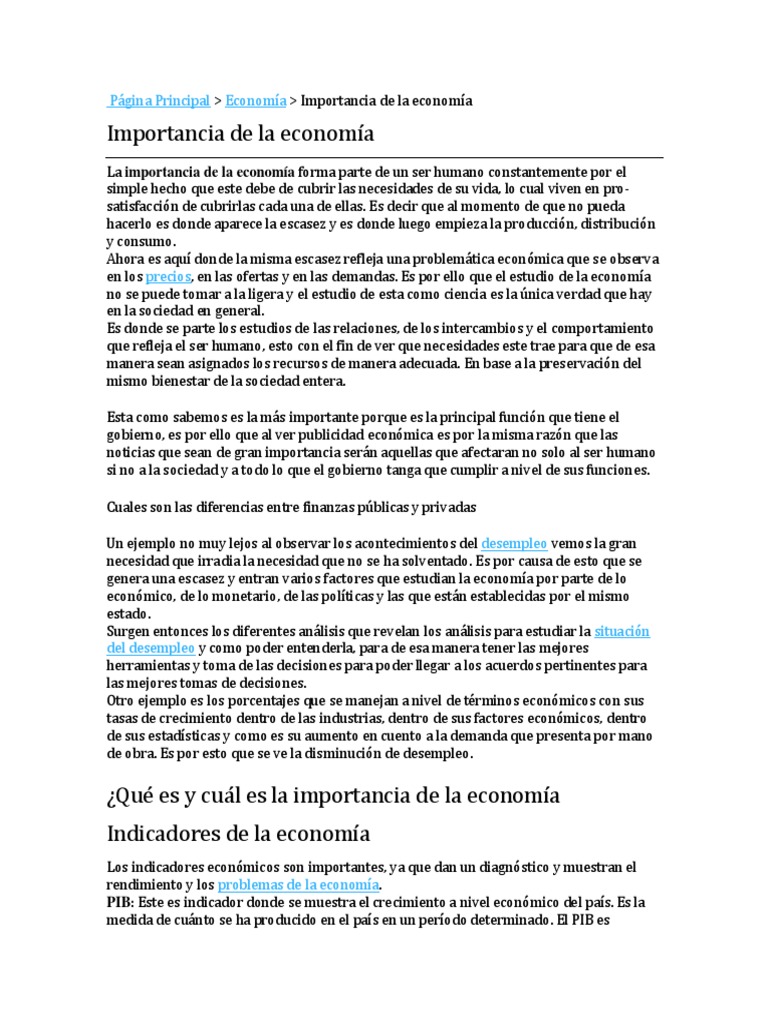 Ensayo Economia | PDF | Inflación | Producto Interno Bruto