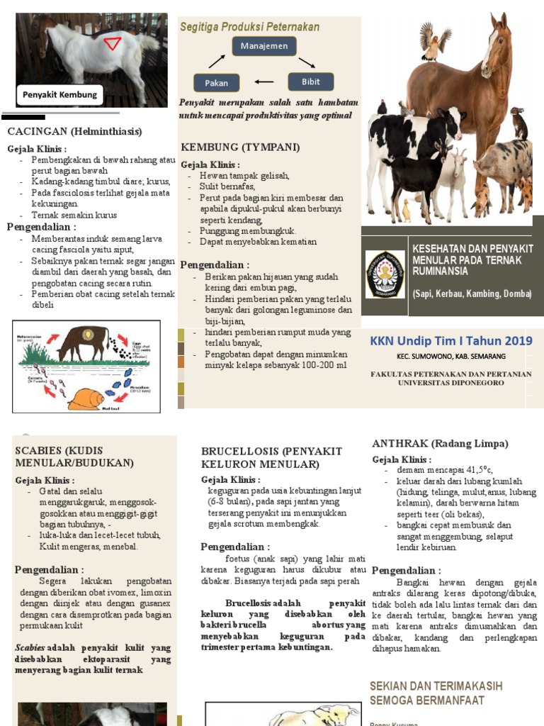 Leflat Penyakit PDF | PDF