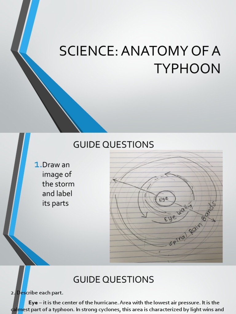 Anatomy of A Typhoon | PDF