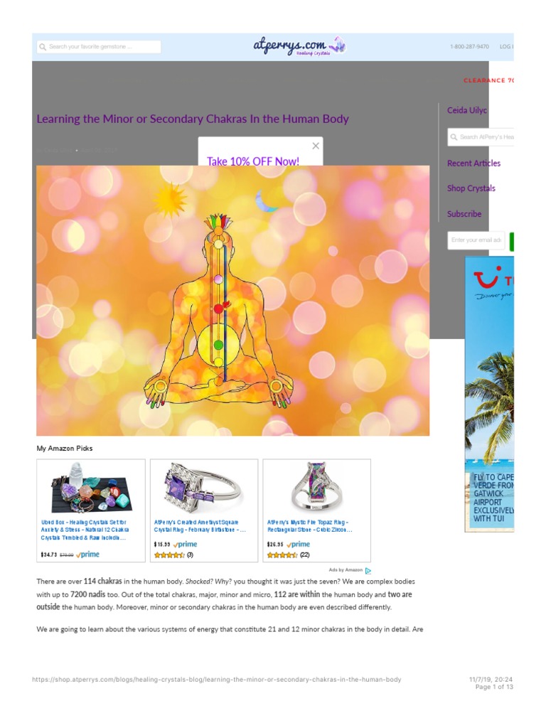 Learning The Minor or Secondary Chakras in The Human Body - AtPerry's ...