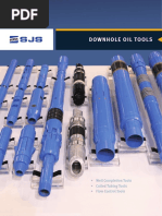 BPI Cards Express Start Program | PDF | Credit Card | Service Industries