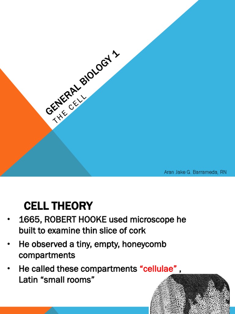 Cell Theory Structure and Function Student Ver | PDF | Cell (Biology ...