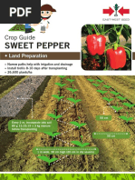 Tree Planting Action Plan | PDF | Trees | Natural Environment