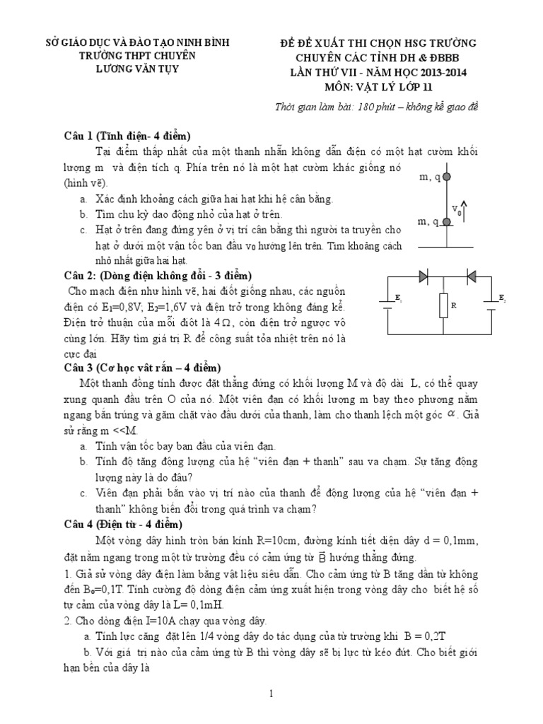 Đề thi HSG 11 Ninh Bình | PDF