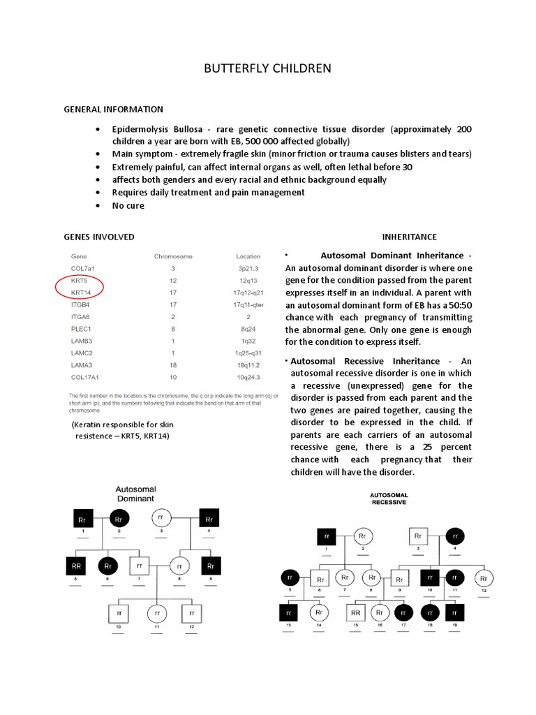 Butterfly Children - Worksheet | PDF | Epidemiology | Human Diseases ...