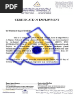 Document Controller CV Format | PDF | Microsoft Excel | Computing
