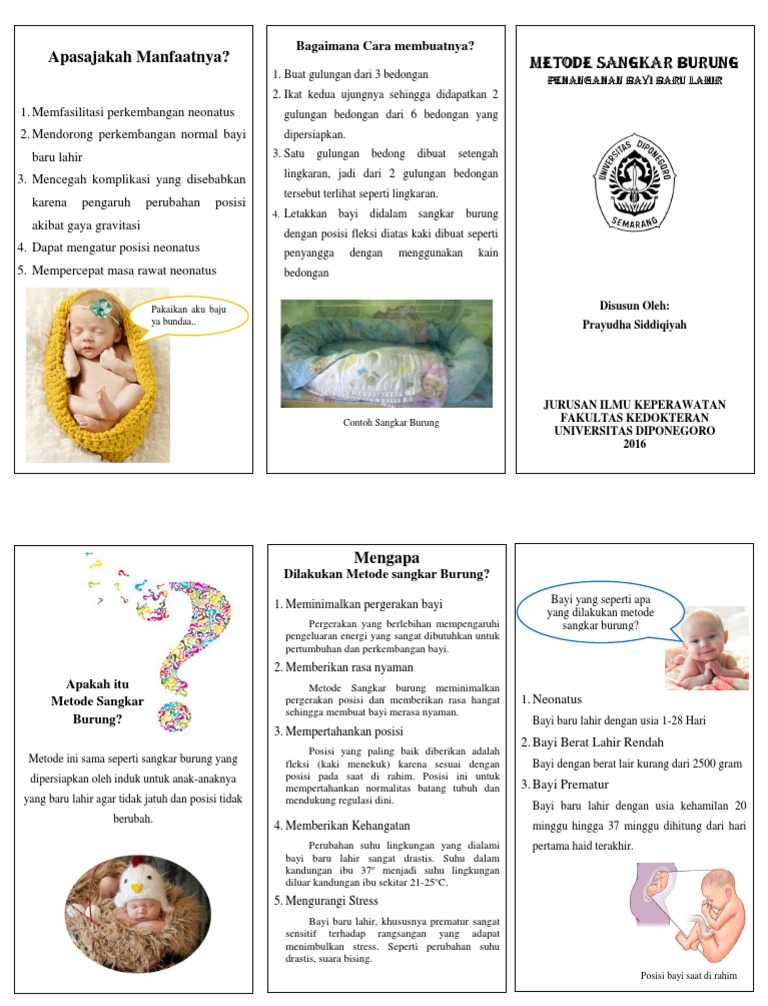 (Leaflet) Nesting | PDF