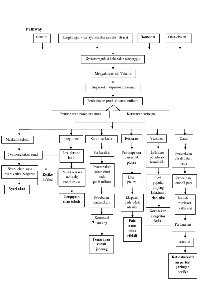 Pathway SLE | PDF