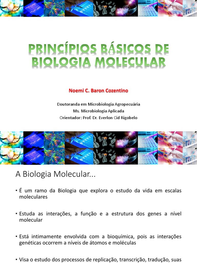 Principios Basicos de Biologia Molecular | PDF | Primer (Biologia Molecular) | RNA