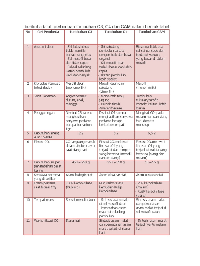 Perbedaan C3, C4 Dan CAM | PDF | Sains & Matematika