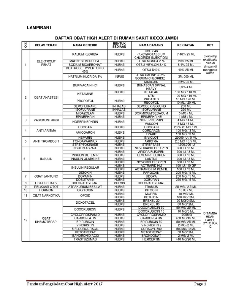 LAMPIRAN PENGELOLAAN OBAT High Alert | PDF