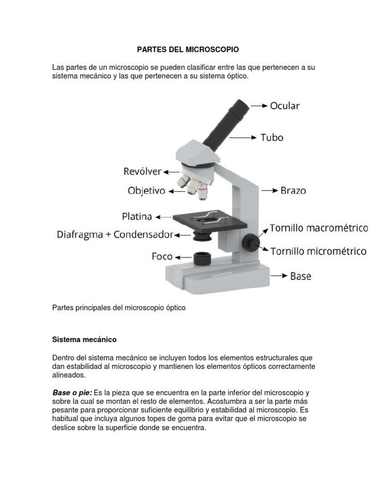 Partes Del Microscopio