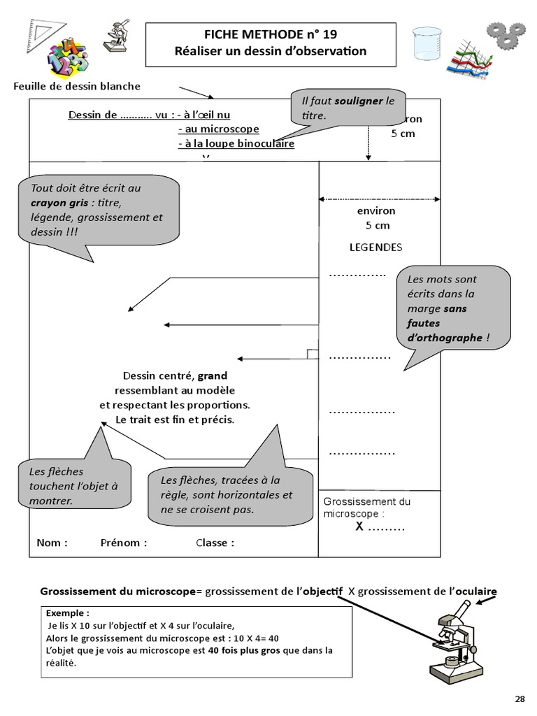 19 - Réaliser Un Dessin D'observation | PDF | Optique | Philosophie ...