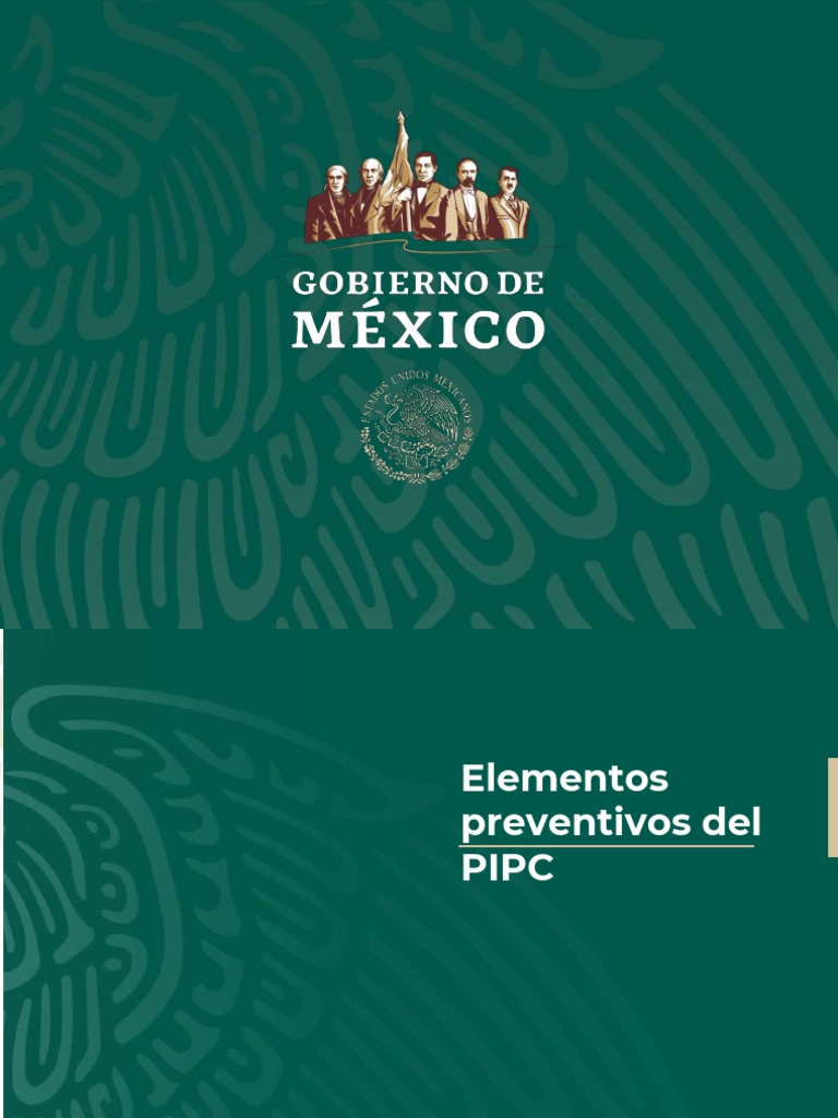 Elementos Preventivos Del IPC | PDF | Software | Planificación