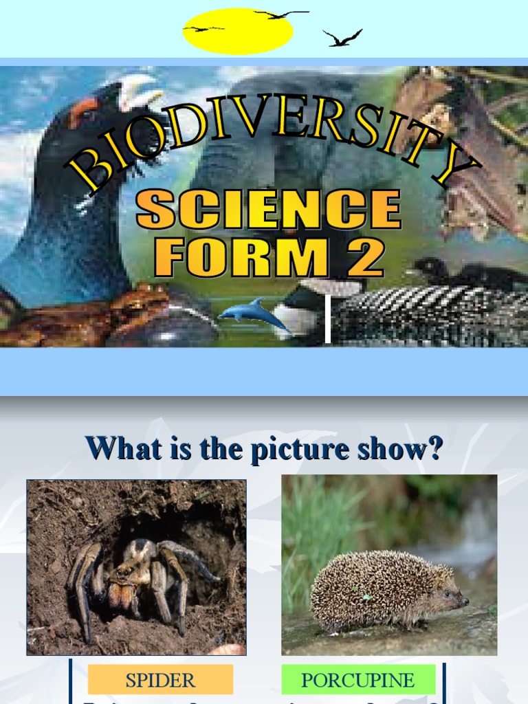 Biodiversity | PDF | Invertebrate | Mammals
