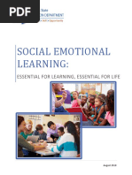 Casel'S Sel Framework:: What Are The Core Competence Areas and Where ...