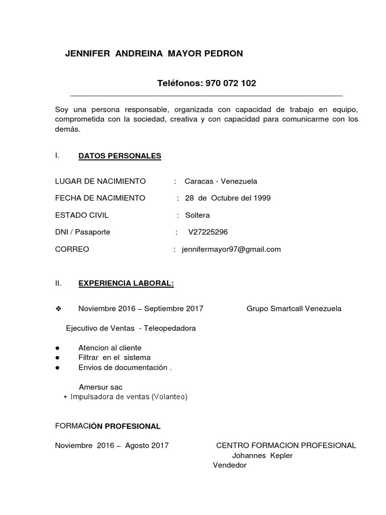 Curriculum Jennifer Mayor | PDF