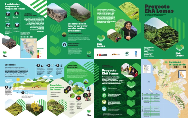 Brochure Chico EbA Lomas - 7feb | PDF | Lima | Ecosistema