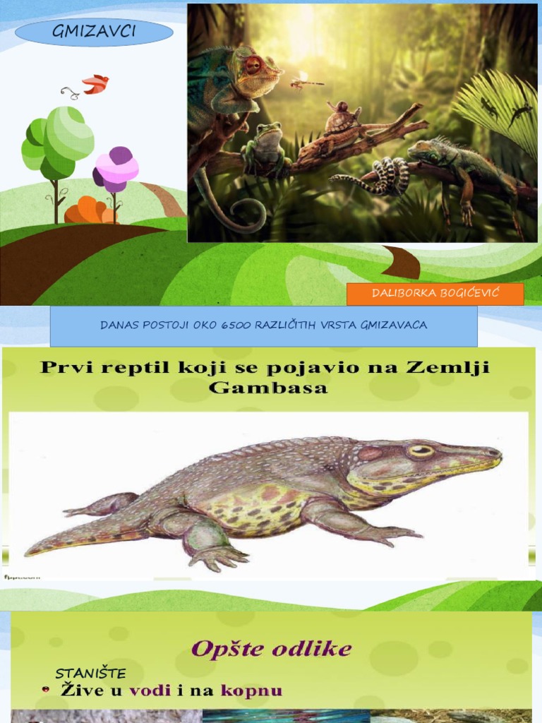 Vrste gmizavaca i njihova kretanja | PDF | Computers