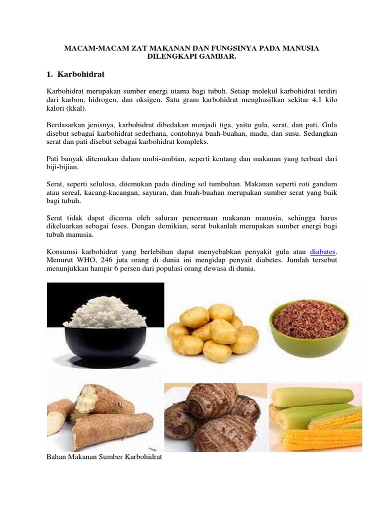 Macam-Macam Zat Makanan Dan Fungsinya Pada Manusia Dilengkapi Gambar. | PDF