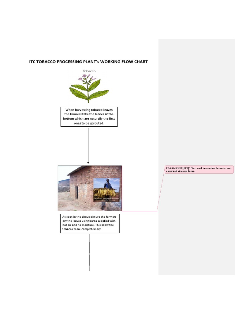 Itc Tobacco Processing Plant | PDF | Leaf | Mechanical Engineering