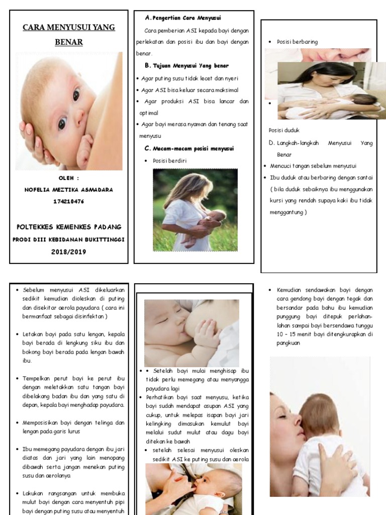 Leaflet Cara Menyusui | PDF