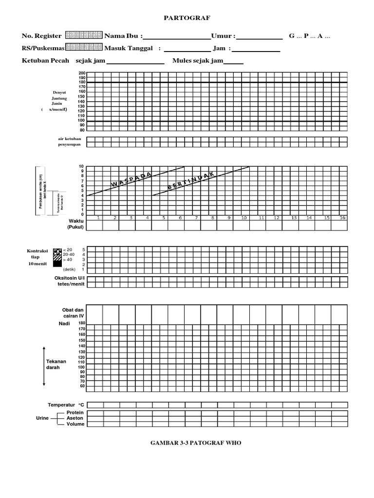 Lembar Partograf | PDF