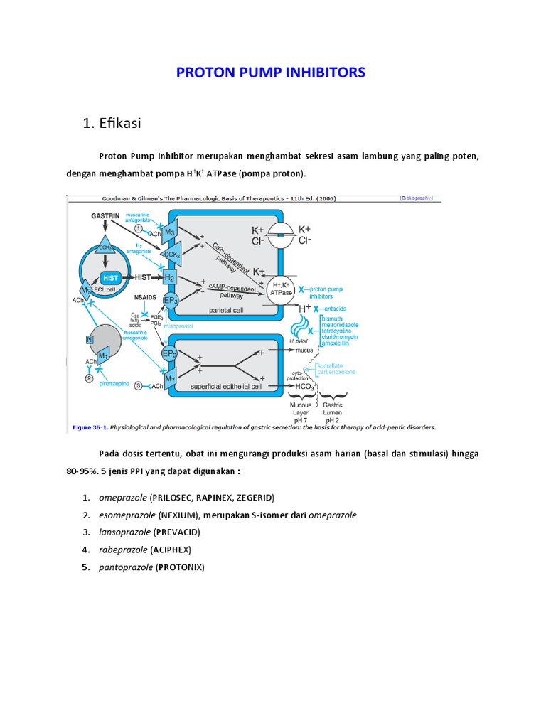 Proton Pump Inhibitors | PDF
