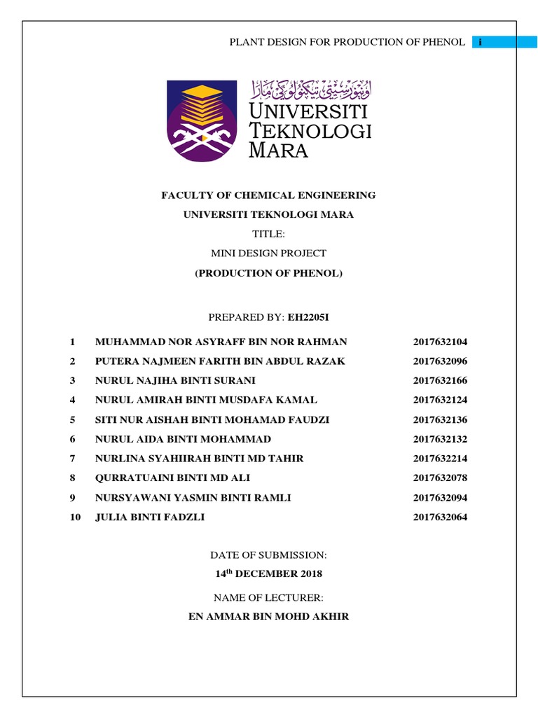 CPE604 - Mini Project Plant Design Produ PDF | PDF | Benzene | Sodium Hydroxide