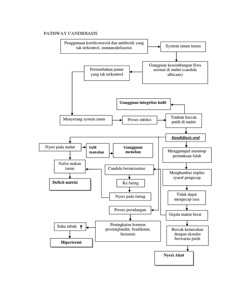 Pathway Candidiasis | PDF