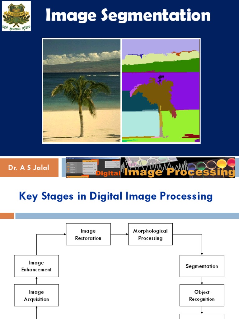 Image Segmentation in Digital Image Processing | PDF | Image Segmentation | Digital Image