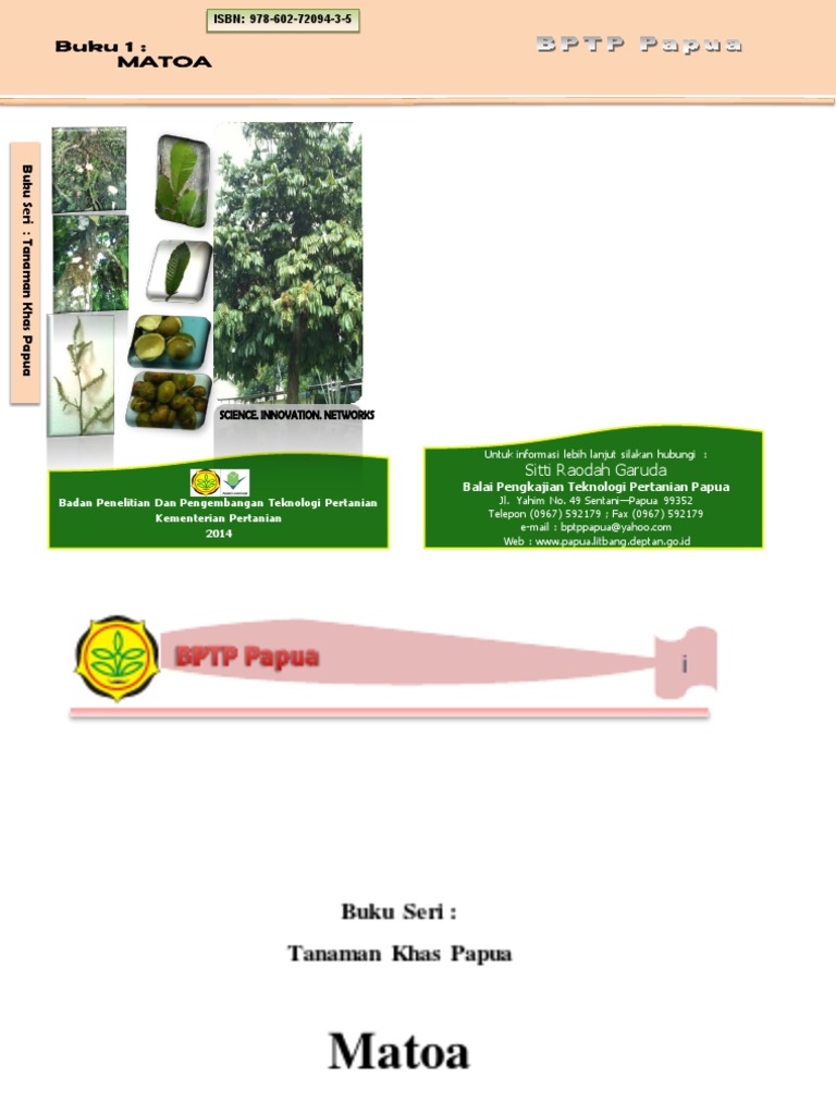 Tanaman Matoa: Ciri dan Budidaya | PDF | Griya & Taman