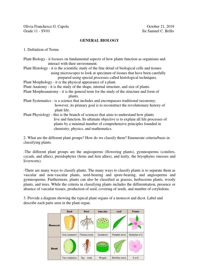 Plant Biology | PDF | Plants | Leaf