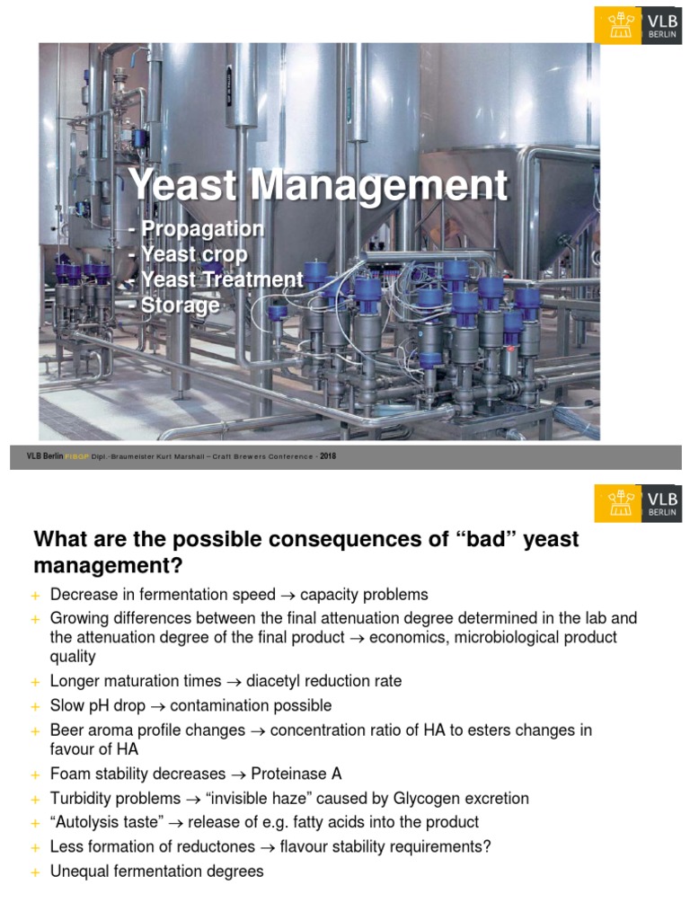 Yeast Management Propagation | PDF | Cellular Respiration | Glycolysis